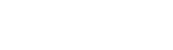 About Us - AvenGuard